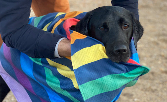 Aloft Dogs Days Out – The Aloft Shop